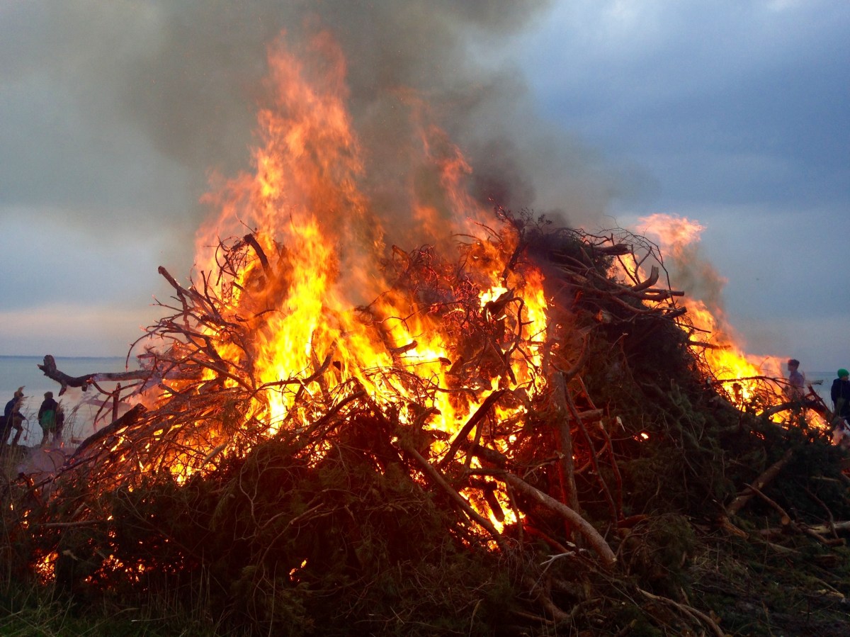 Bonfires, Bulbs and Bursts of Color – Swedish Spring – Niche Travel Design